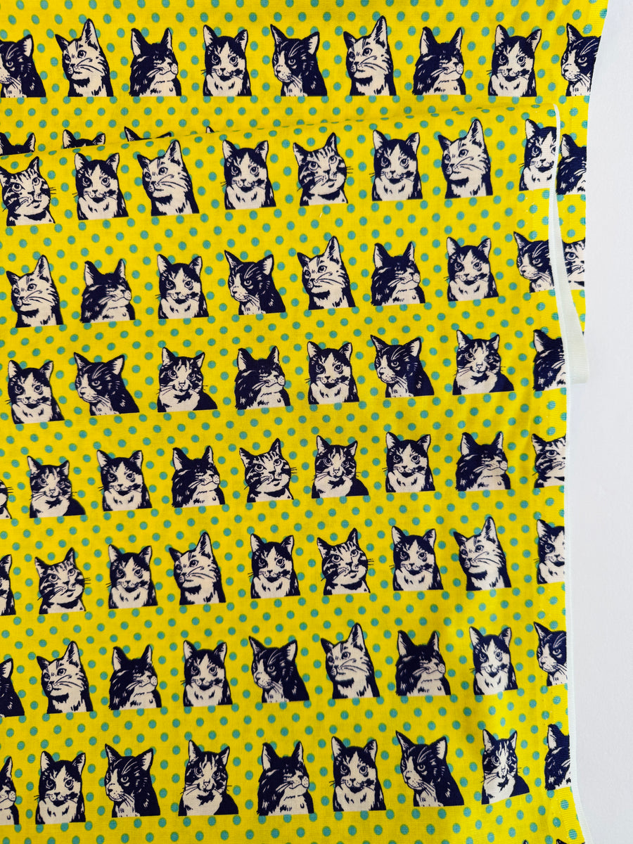 Cat X Dot - Yellow - Un/No (Cosmo) – Sunny Day Supply